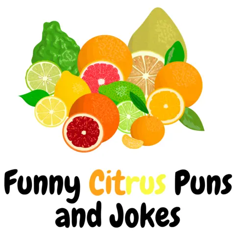 90+ Funny Citrus Puns And Jokes: Peel the Laughter - Puns - Funny Puns