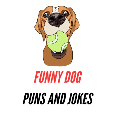 90+ Funny Dog Puns and Puns: Pawsitively Hilarious - Puns - Funny Puns
