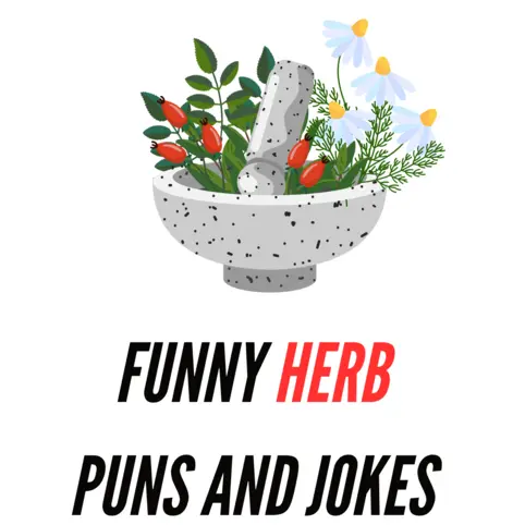 100+ Funny Herb Puns and Jokes: Thyme for Laughs - Puns - Funny Puns