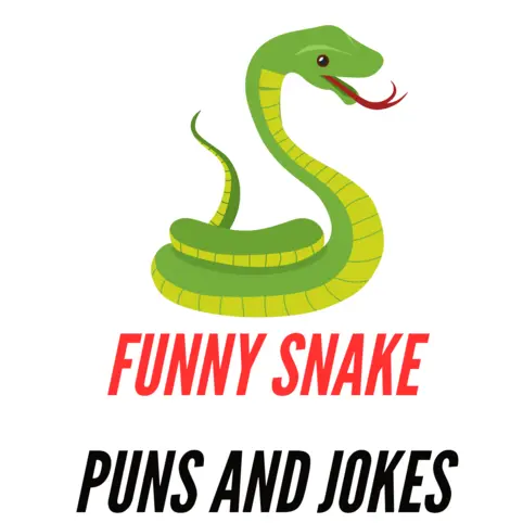 100+ Funny Snake Puns and Jokes: Sssensational Serpent Humor - Puns ...