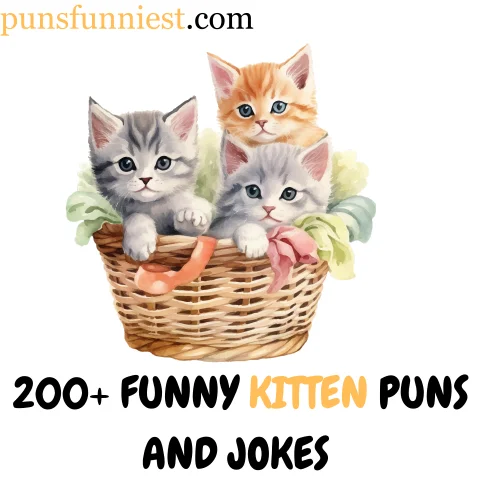 200+ Funny Kitten Puns And Jokes Guaranteed to Amuse - Puns - Funny Puns