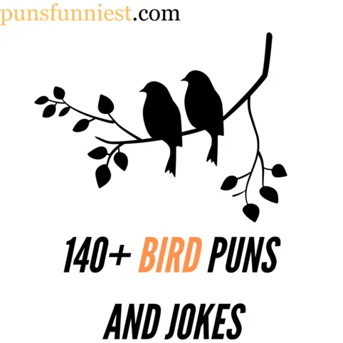 140+ Bird Puns And Jokes For Non-Stop Laughter!